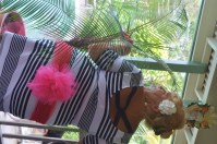 Ham Haystack | The Sassy Spoon: Fun Food!