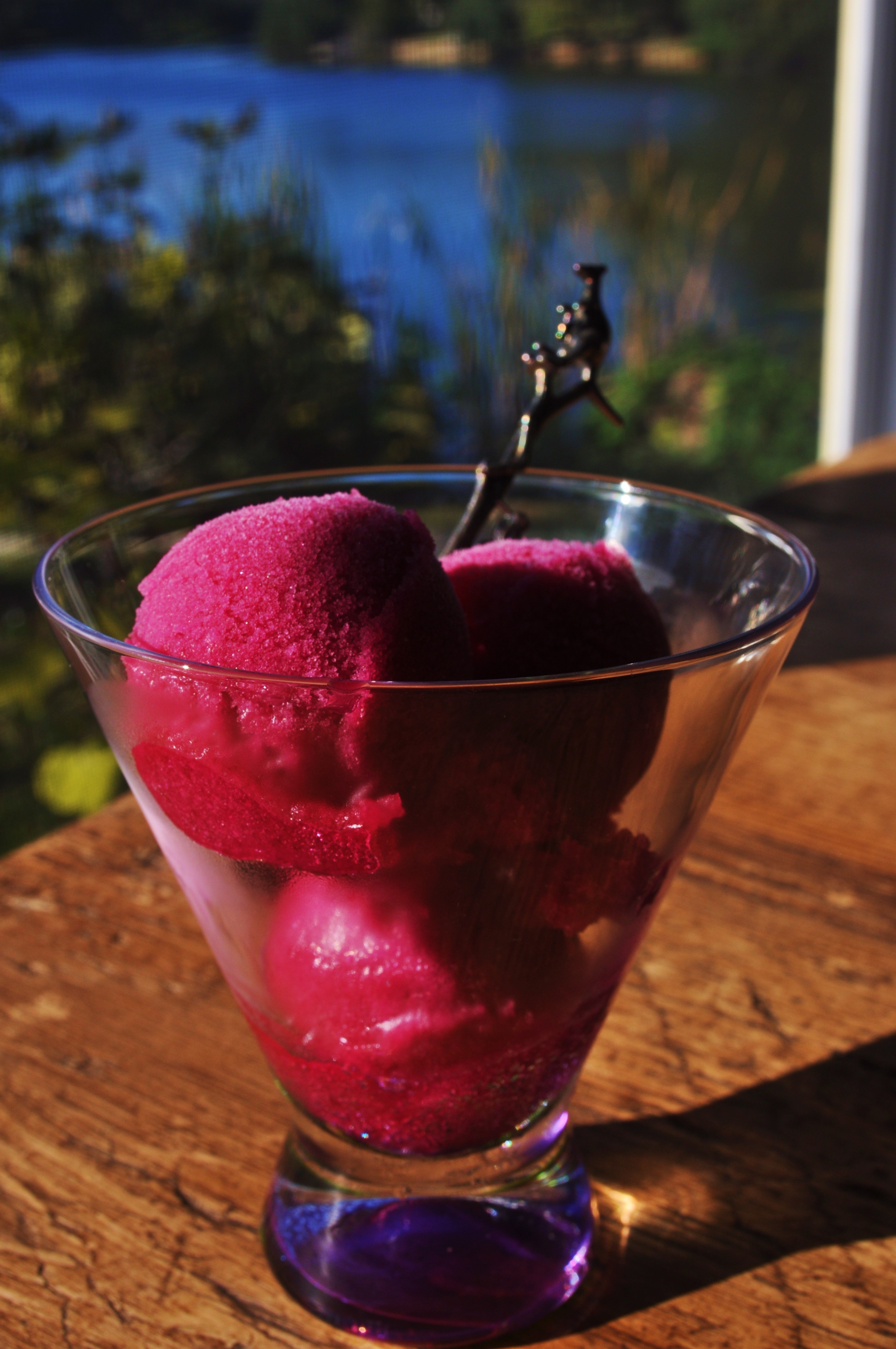 Prickly Pear Sorbet | The Sassy Spoon: Fun Food!