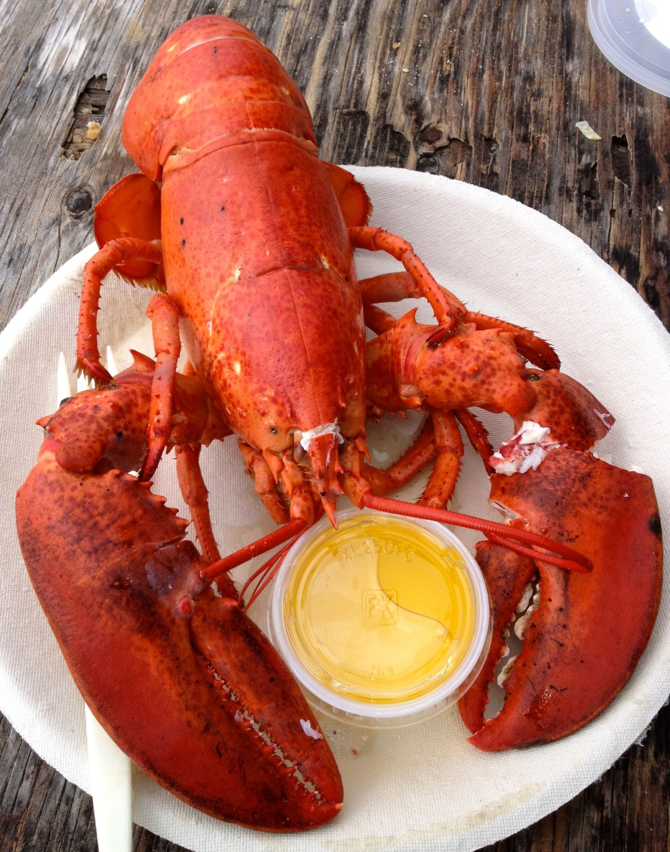The Best Lobster Bisque | The Sassy Spoon: Fun Food!